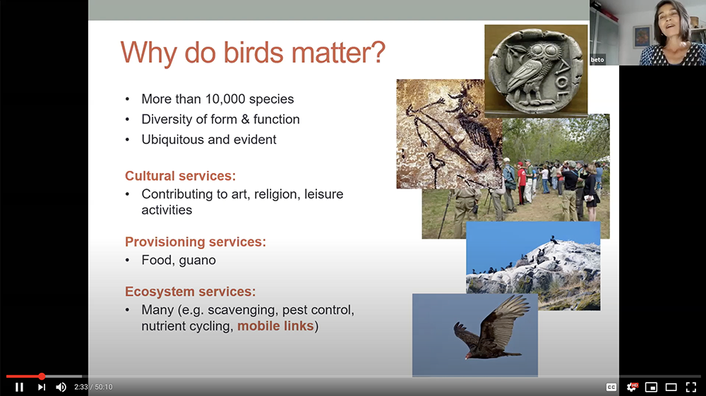 BOC’s first online meeting with Prof Beth Okamura – British ...